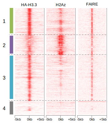Placing the HIRA Histone Chaperone Complex in the Chromatin Landscape
