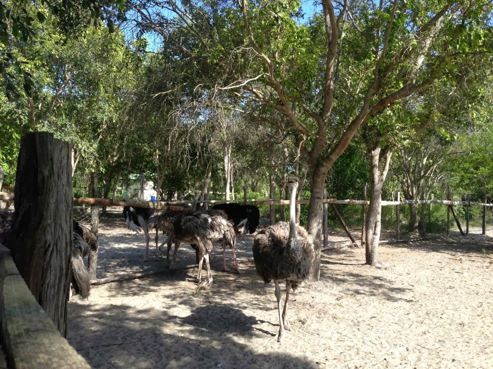 KARIBU TEMEKE: MATEMBEZI DAR ES SALAAM ZOO- KIGAMBONI