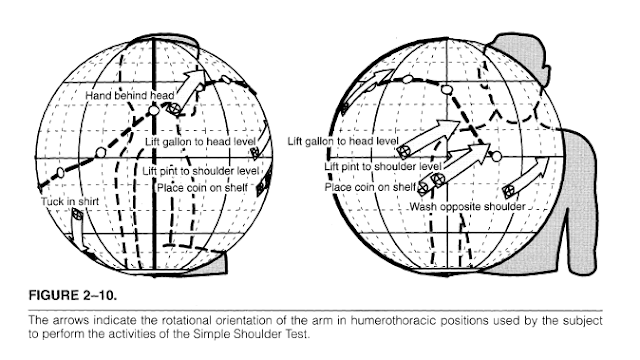 UW Shoulder and Elbow Academy: Defining functional shoulder range of ...