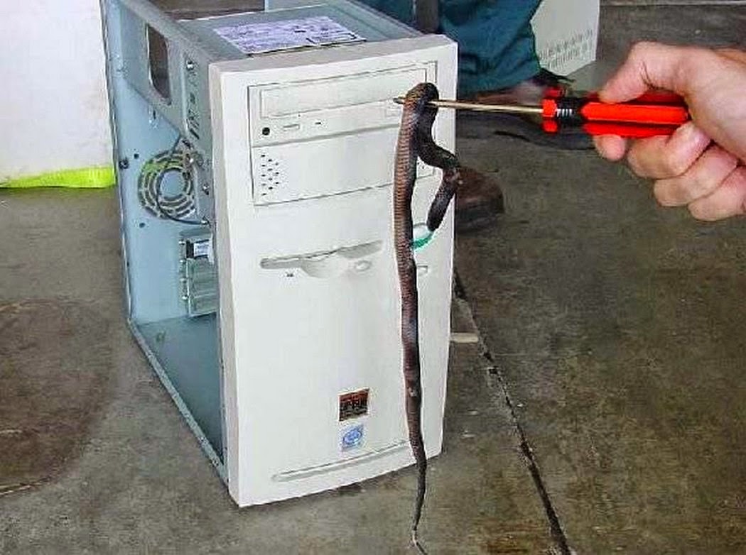 Chuck's Fun Page 2: Some assorted computer/technology/Internet humor ...