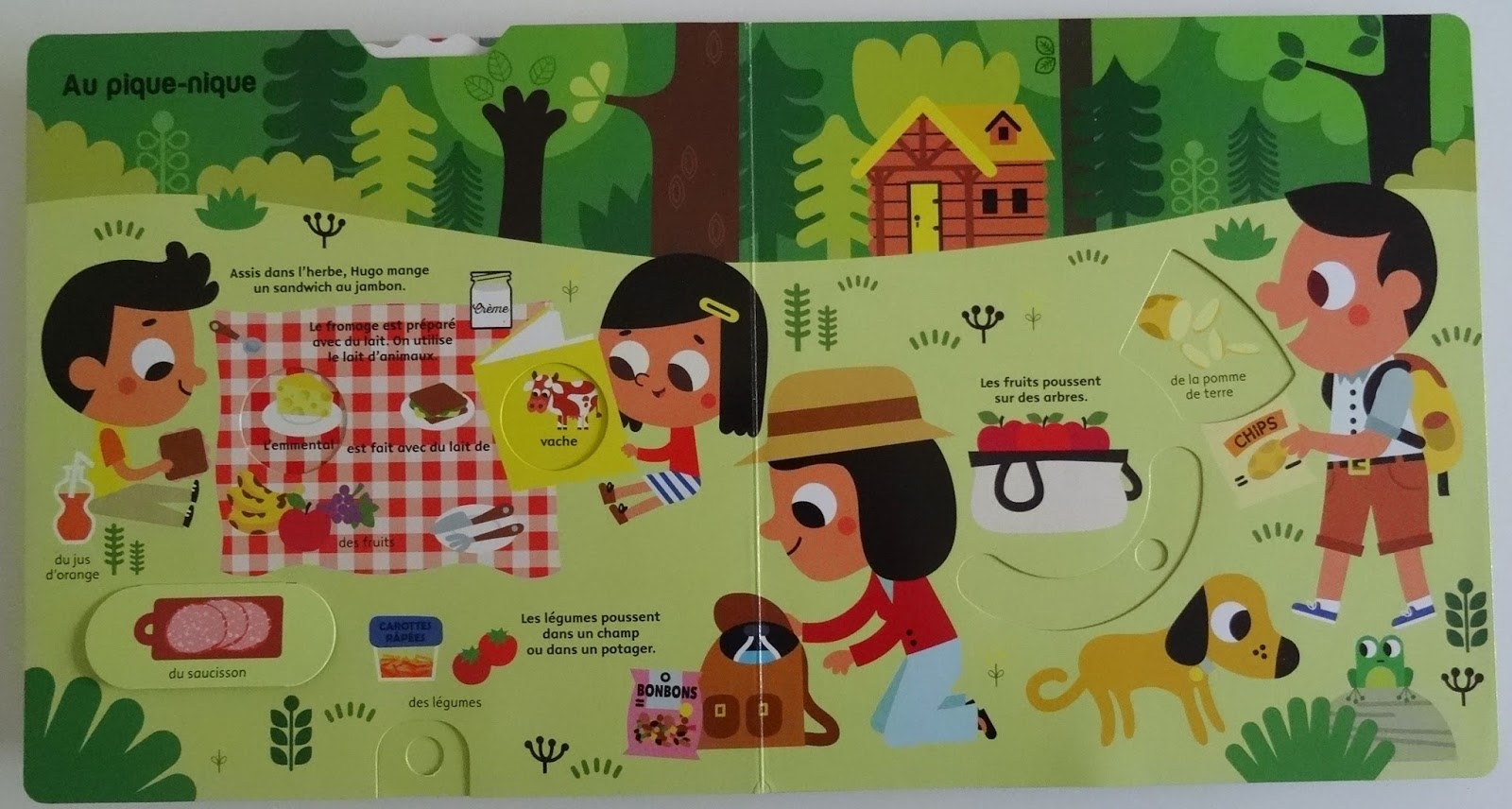 Les Mercredis de Julie: D'où vient ce que je mange ? / Les aliments