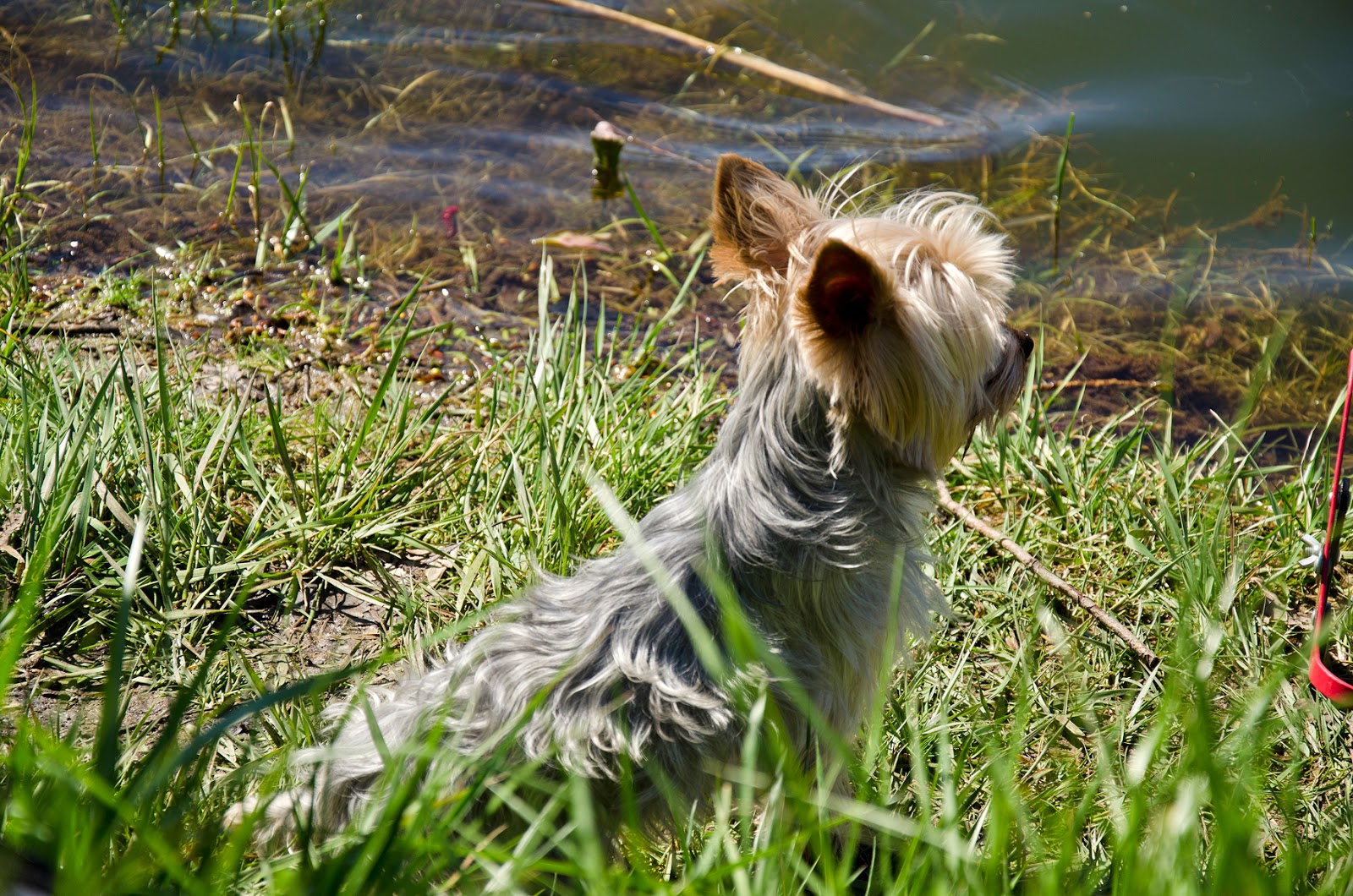 Photo Shooting cu Azorel - Blogul Larisei