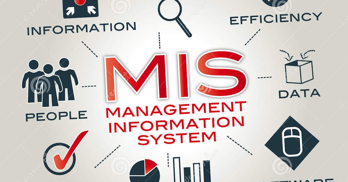 206 Management Information Systems MBA MCQs SPPU MBA MCQs