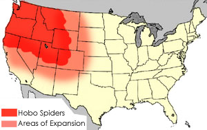 Elsie Park: HOBO Spider Infestation!