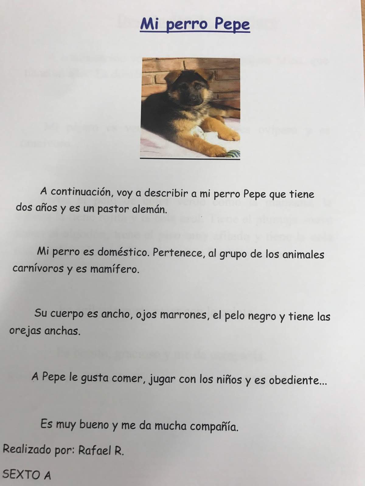LA VENTANA DE MI CLASE DE TERCERO: DESCRIPCIÓN DE MI MASCOTA