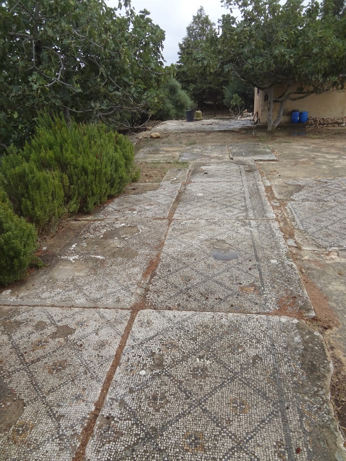 Sites archéologiques en Tunisie: Le site archeologique Utique