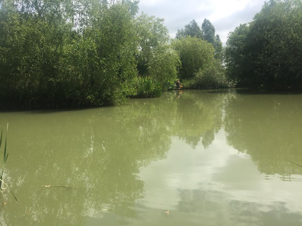 UK fishing venues: Raker Lakes (Heron Lake) - Venue Review