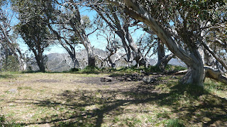 Viking Circuit Walk: Across the Crosscut Saw