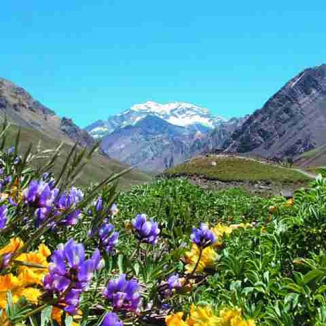 EL MEDIO AMBIENTE: FAUNA Y FLORA