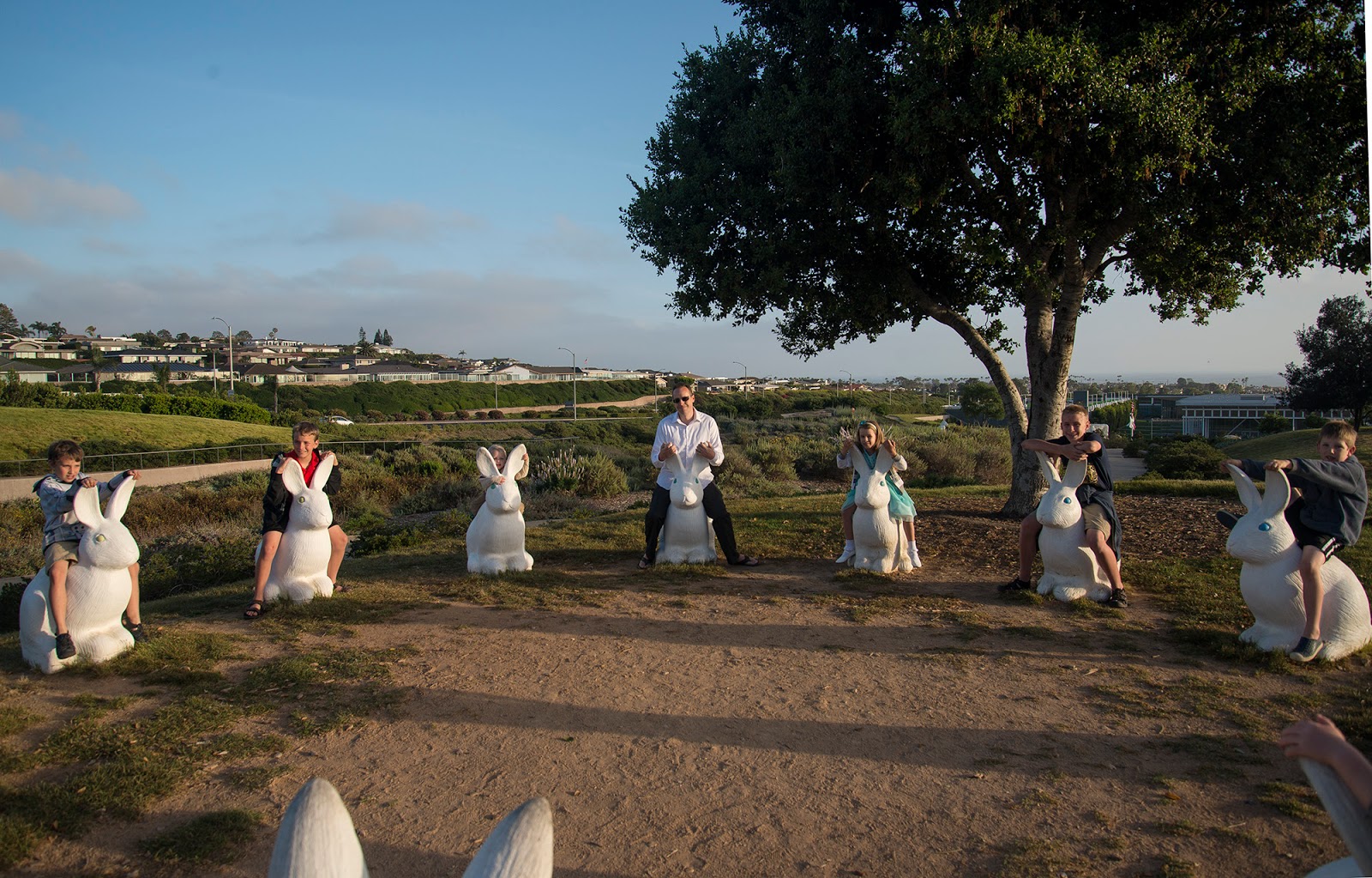 Bunnyhenge - light-in-leaves