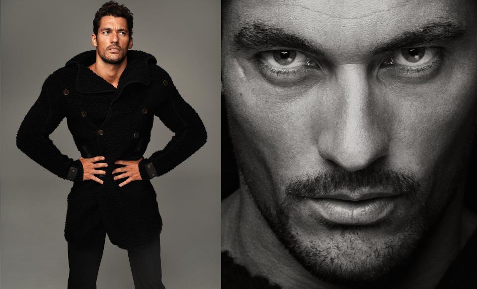 loveisspeed.......: A Fashion İcon and perfection of modelling...David ...