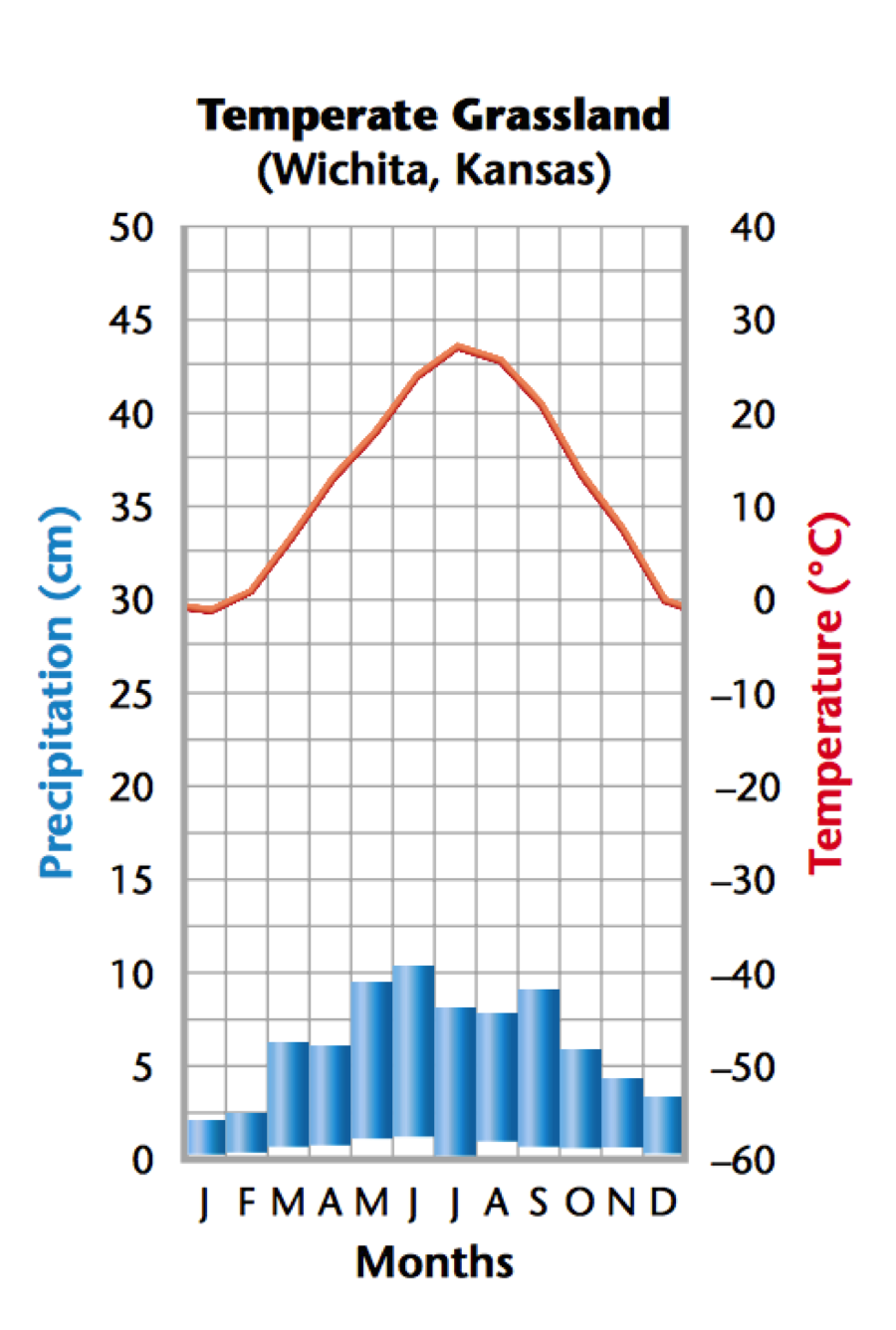 Grasslands are Important