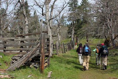 Linda's Lens: Catherine Creek Hike
