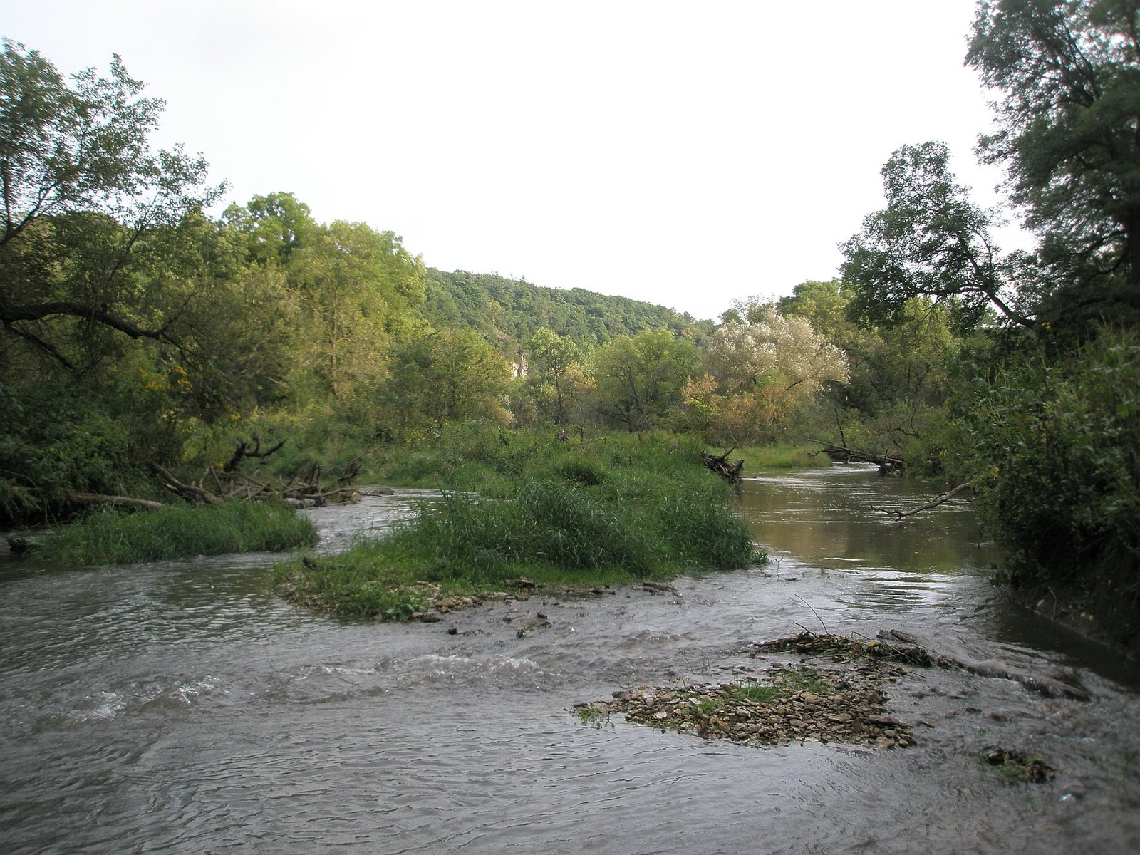 no longer at ease: damply through the Driftless