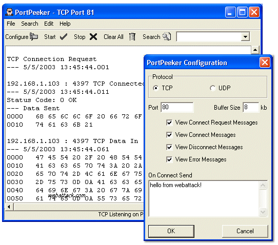 How To Scan Udp Protocol Open Port For Free Internet Udptcp Port Scanner