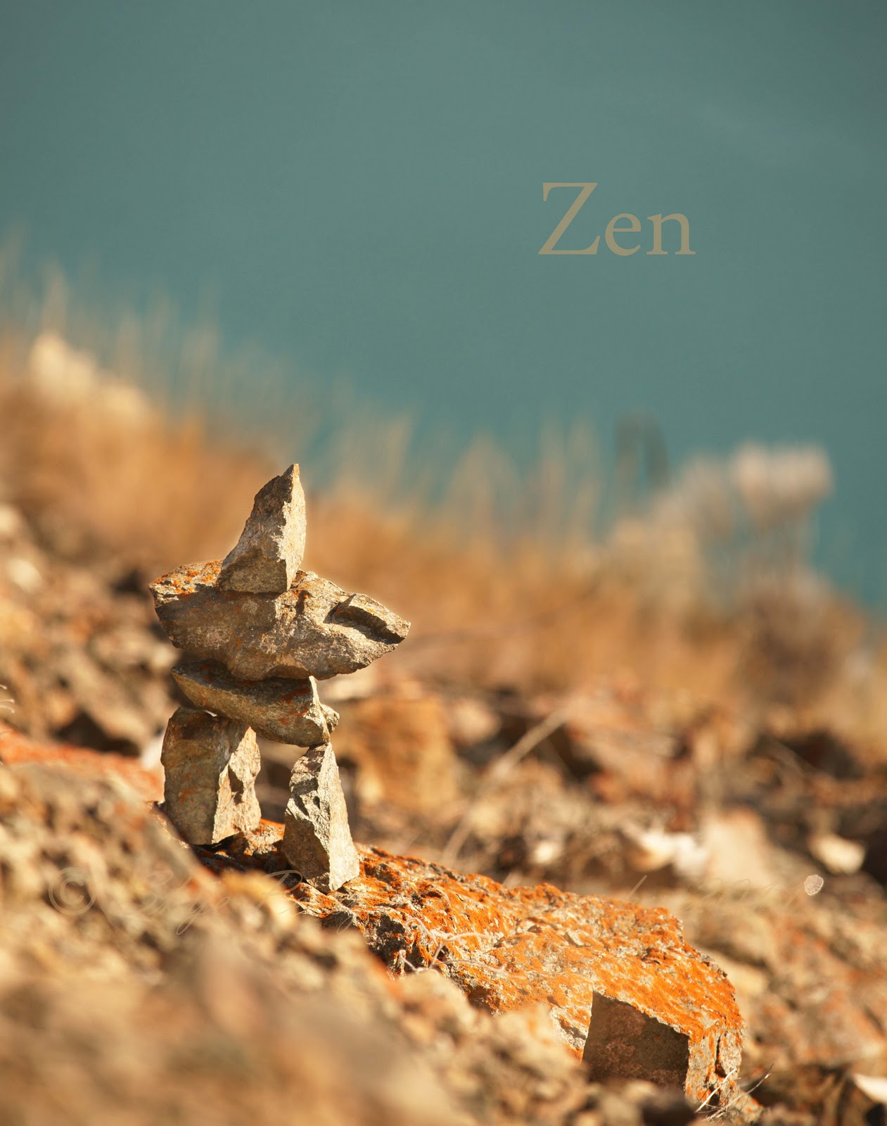 Photography Therapy: Mindfulness and Zen Photography