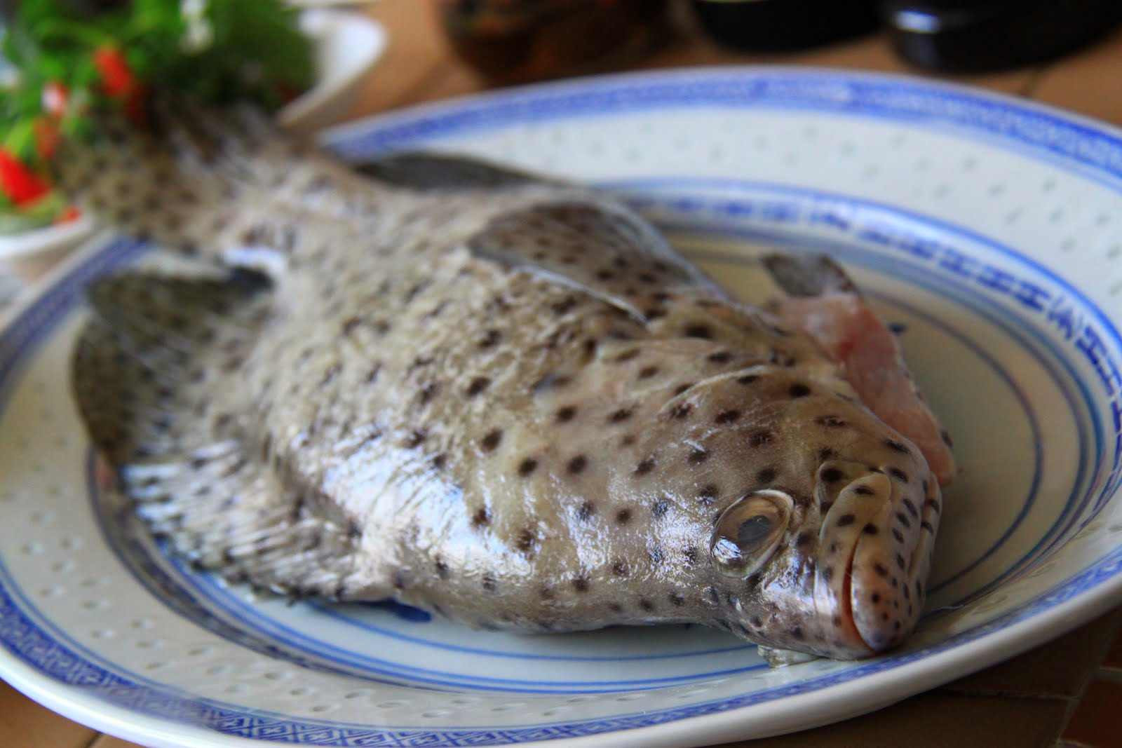 Memoirs of My Thoughts: TeoChew Steamed Garoupa