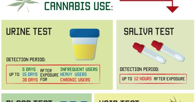 In love with the big leaf: Passing a weed test at work or school.Anywhere.