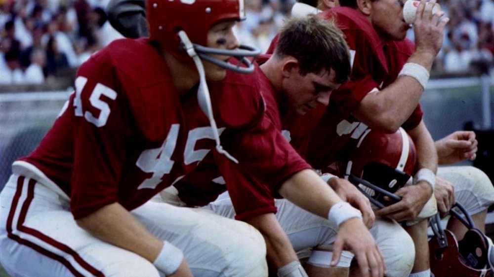 1966 Alabama Crimson Tide football team