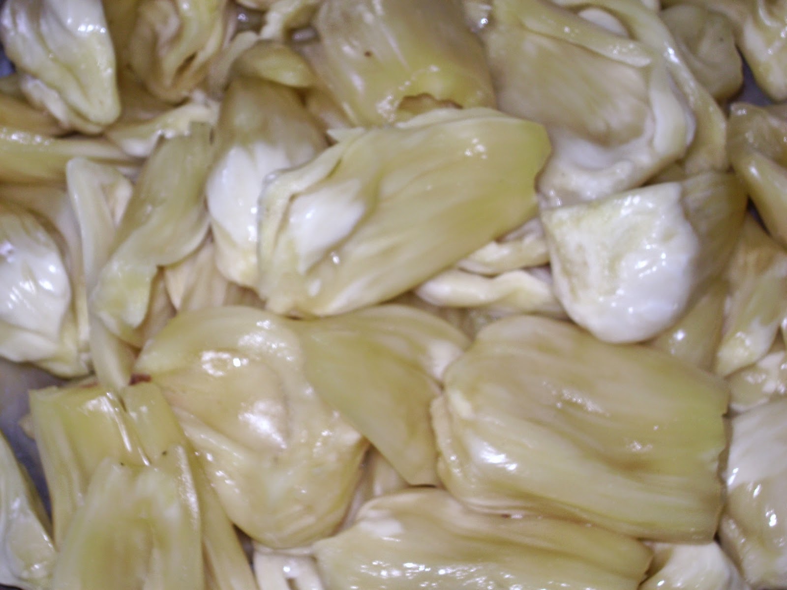 Natureza Natural: ARTOCARPUS HETEROPHYLLUS OU JACA E SEUS BENEFÍCIOS