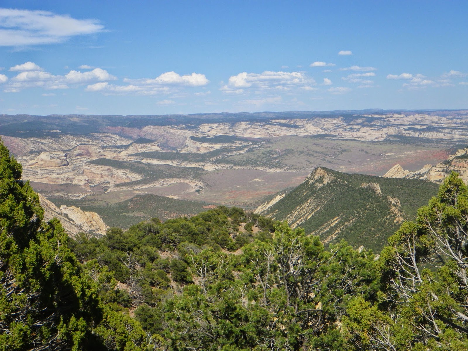 Seven Minutes to the Top: Stay the Course: The Great Basin Desert