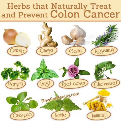 Daily Health Tips: Herbs That Naturally Treat And Prevent Colon Cancer