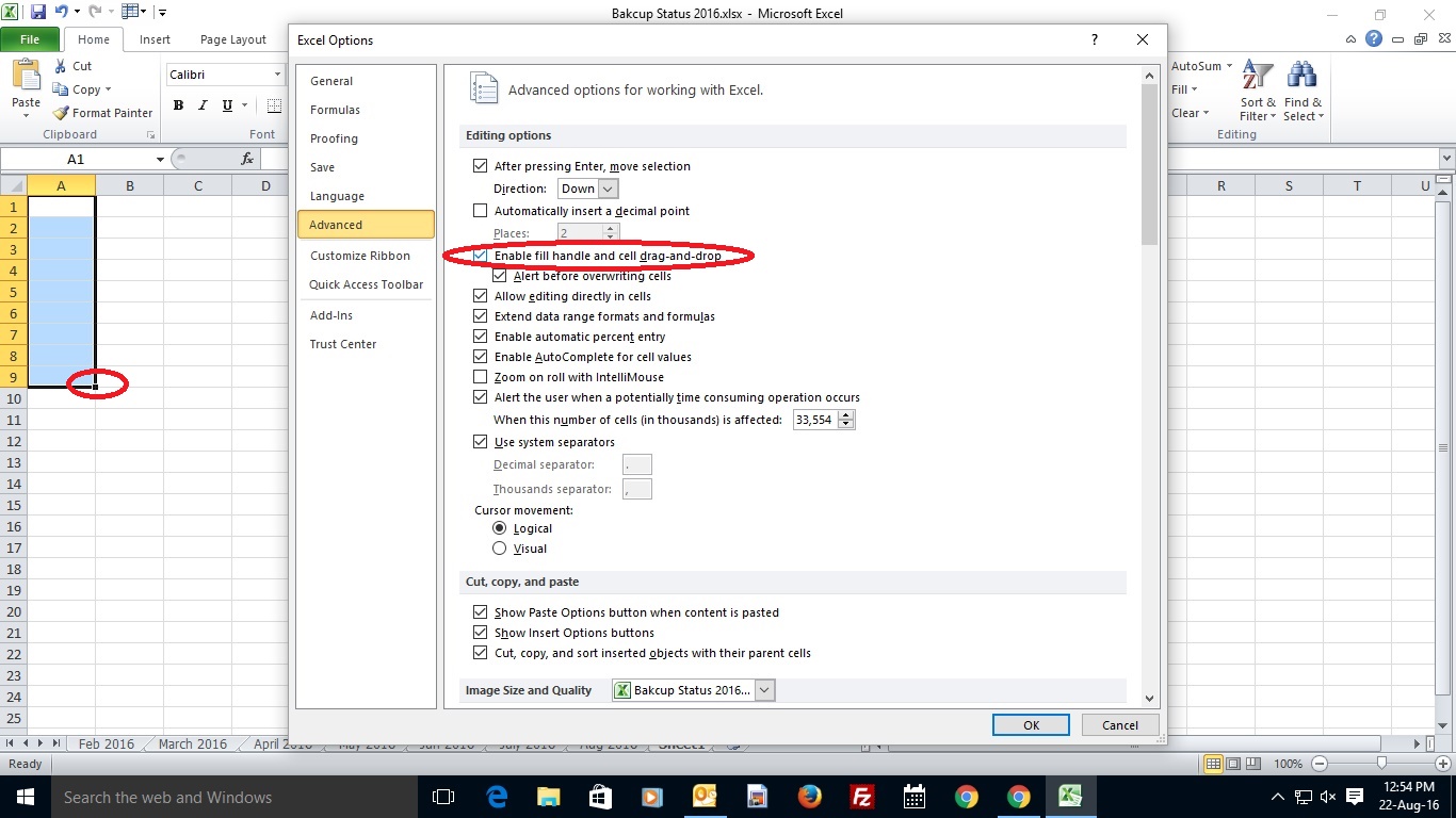 How To Enable Drag And Drop Function In Ms Excel 2010 ~ Sbit Online