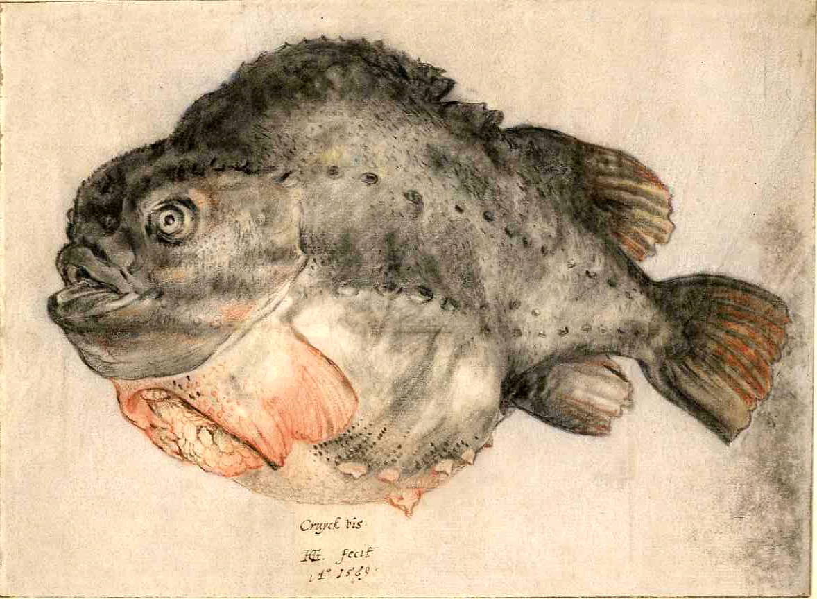 Hendrick Goltzius | Mannerist painter | Tutt'Art@ | Pittura * Scultura ...