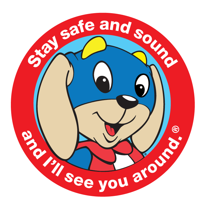 Every Day Is Special: February 12 – Safety Pup Day