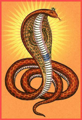 GOGA Maharaj HD Ferr Download Photos images