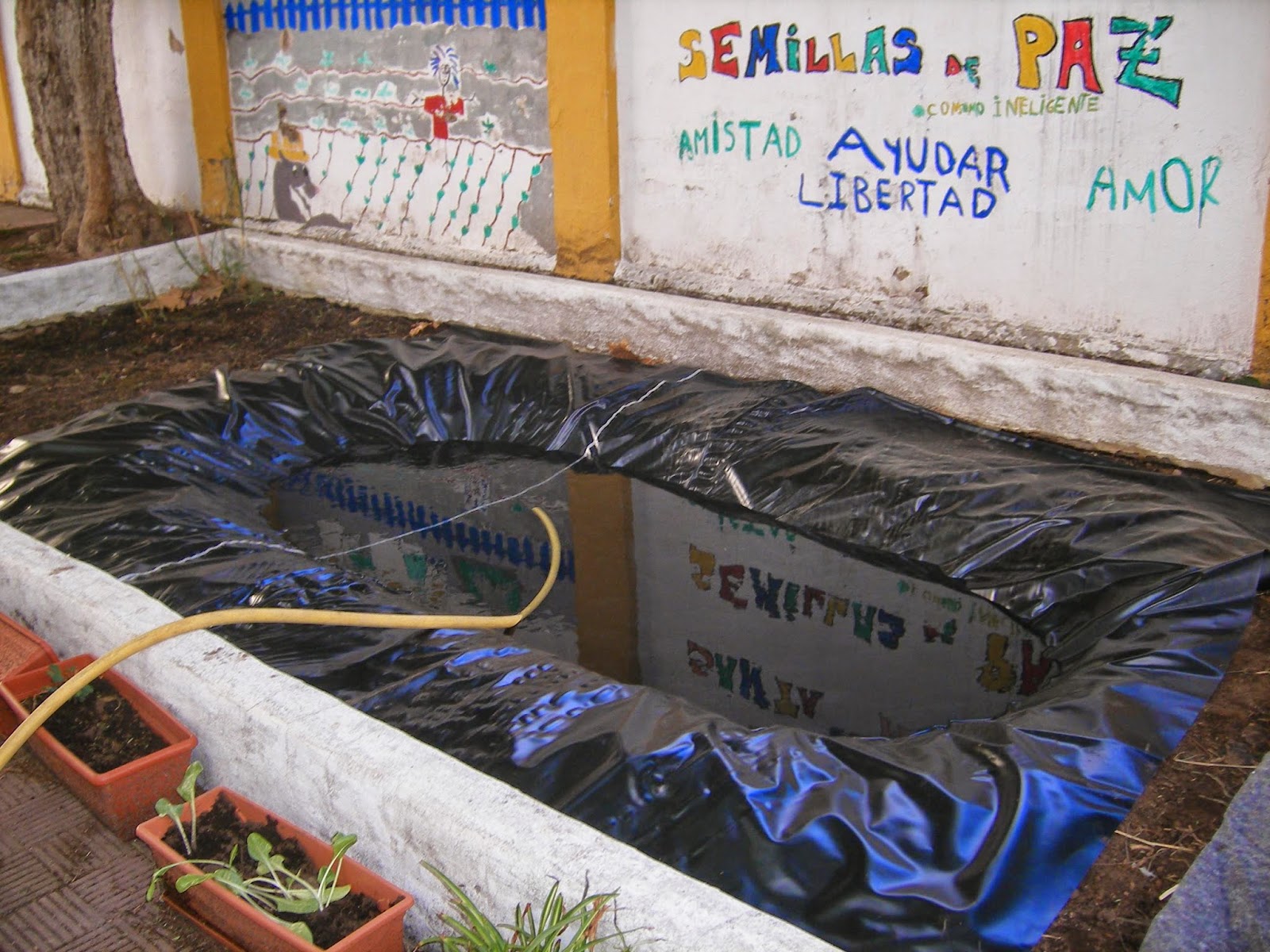 La Huerta Marina. Ecoescuela.: El nacimiento de nuestra charca.
