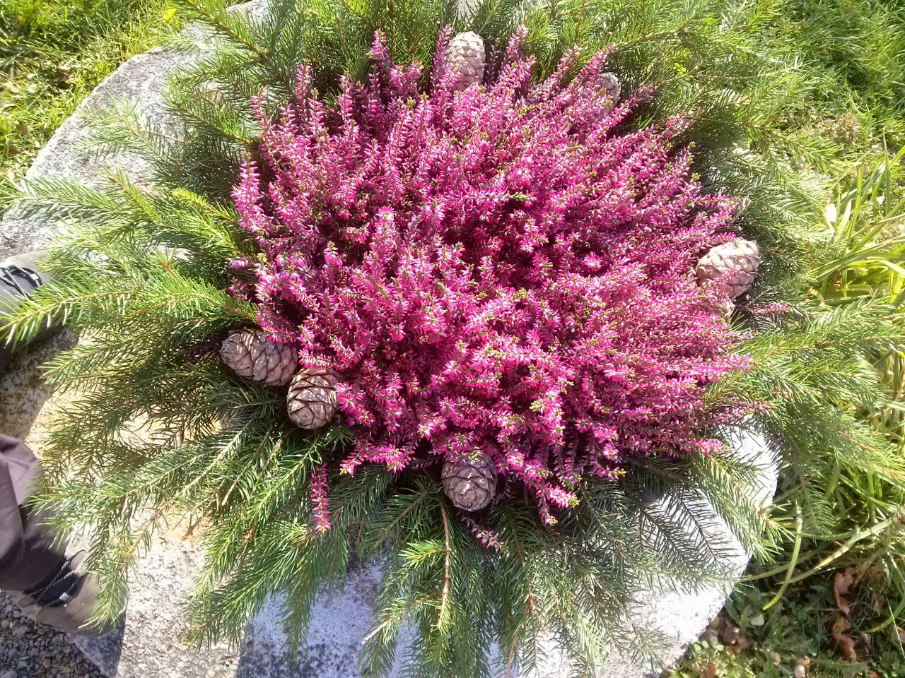 Marymyy: Syksyinen kanerva-asetelma