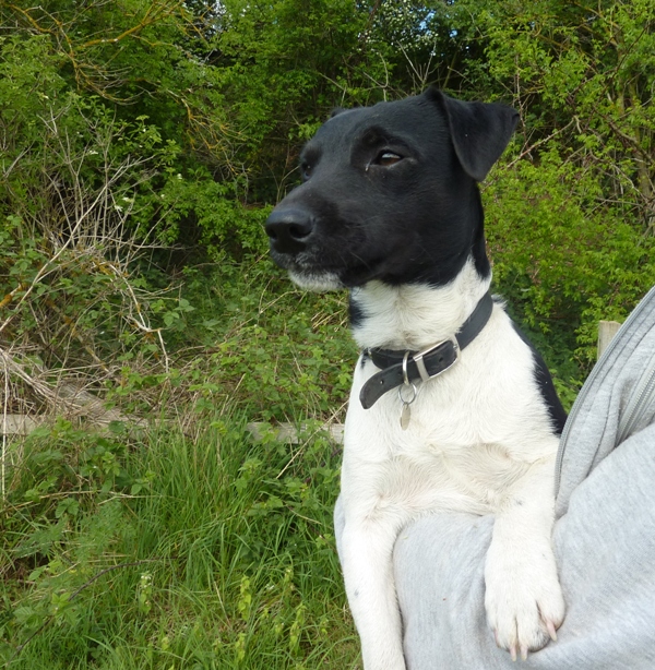 PATTERJACK TALES: On holiday in Cumbria!