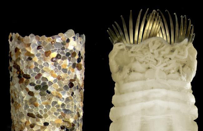 Real Monstrosities Ice Cream Cone Worm Real Monstrosities Ice Cream Cone Worm