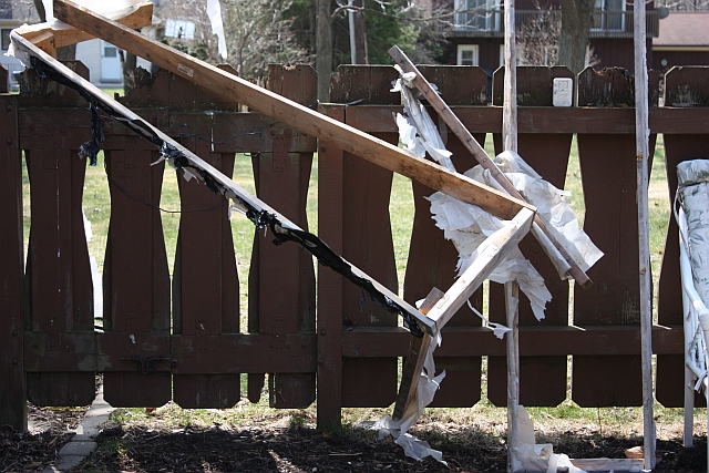 Mutiny In the Garden: Saved: One Coldframe/Watermelon grower