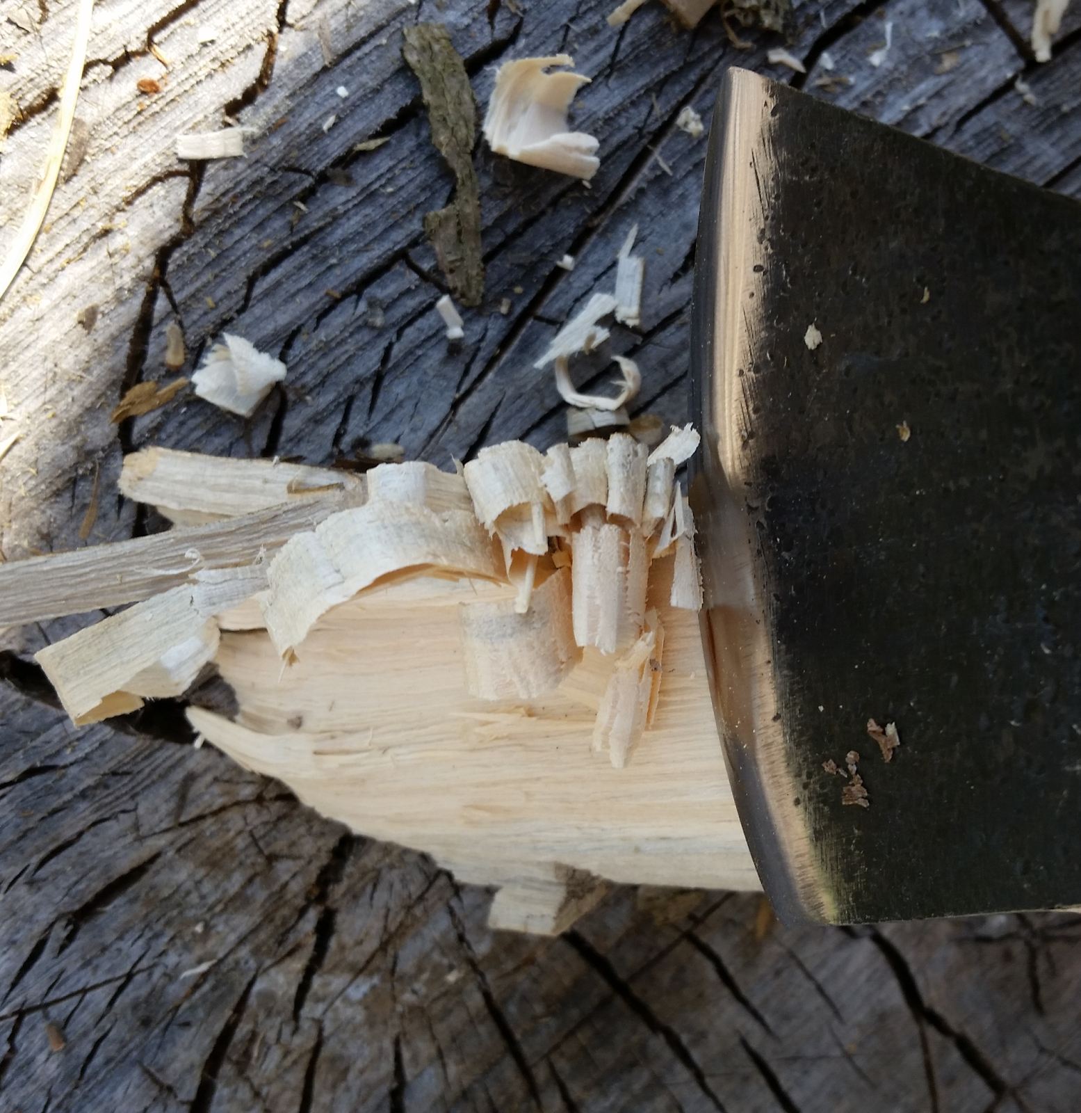 The 7 P's Blog: Condor Tool and Knife Classic Hatchet Field Testing