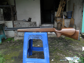 AIR RIFLE HUNTING AND MATCH: SENAPAN SHARK EXCELENCE POPOR MODIFIKASI