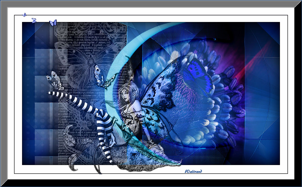 Le blog de Libellule: Morpho bleu