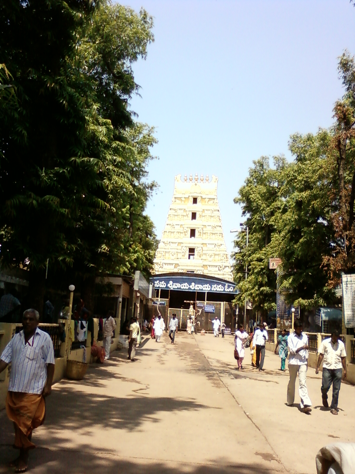 SRI SAIVA MAHAAPEETHAM: srisailam project by Srouta saiva charitable trust