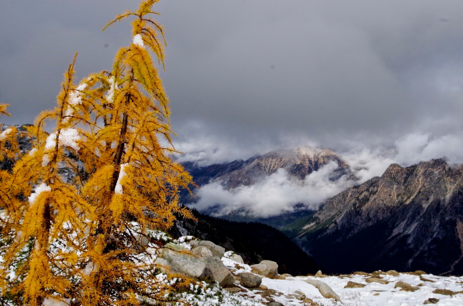 Pacific Northwest Seasons: Northwest Fall Hiking: Golden Larches on the ...