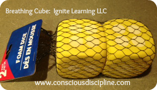 Ignite Learning with Conscious Discipline LLC: Composure Cubes