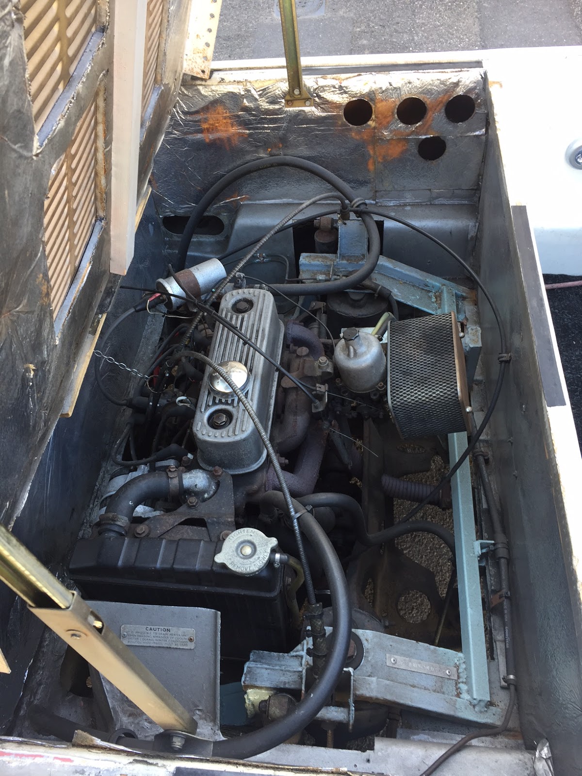 Maximum Mini: Meet the Mini Robin