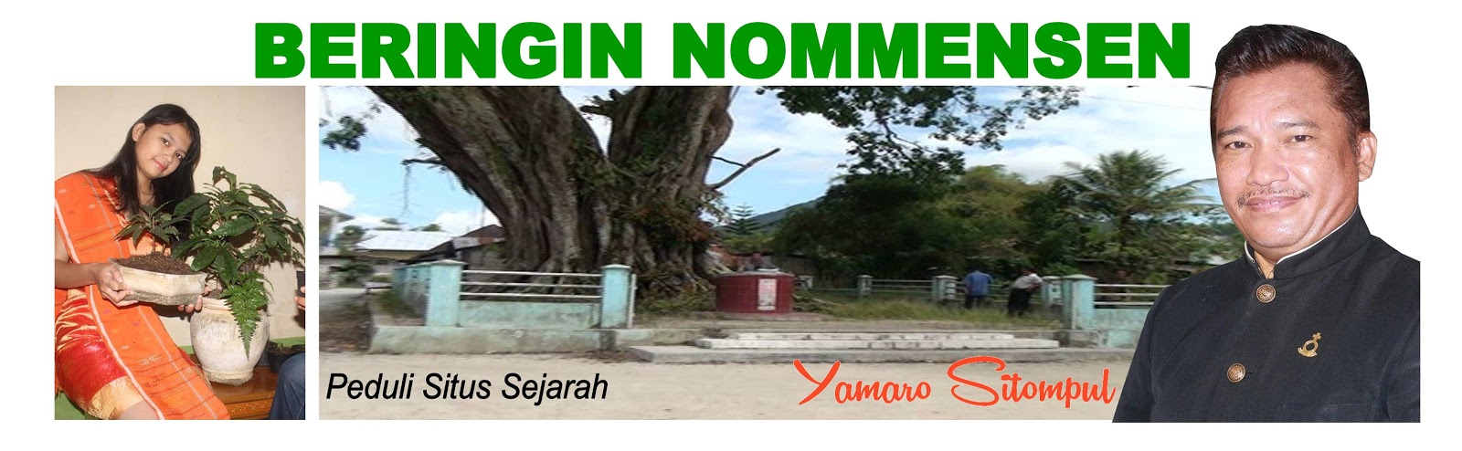 SEJARAH BERINGIN NOMENSEN BERINGIN NOMMENSEN