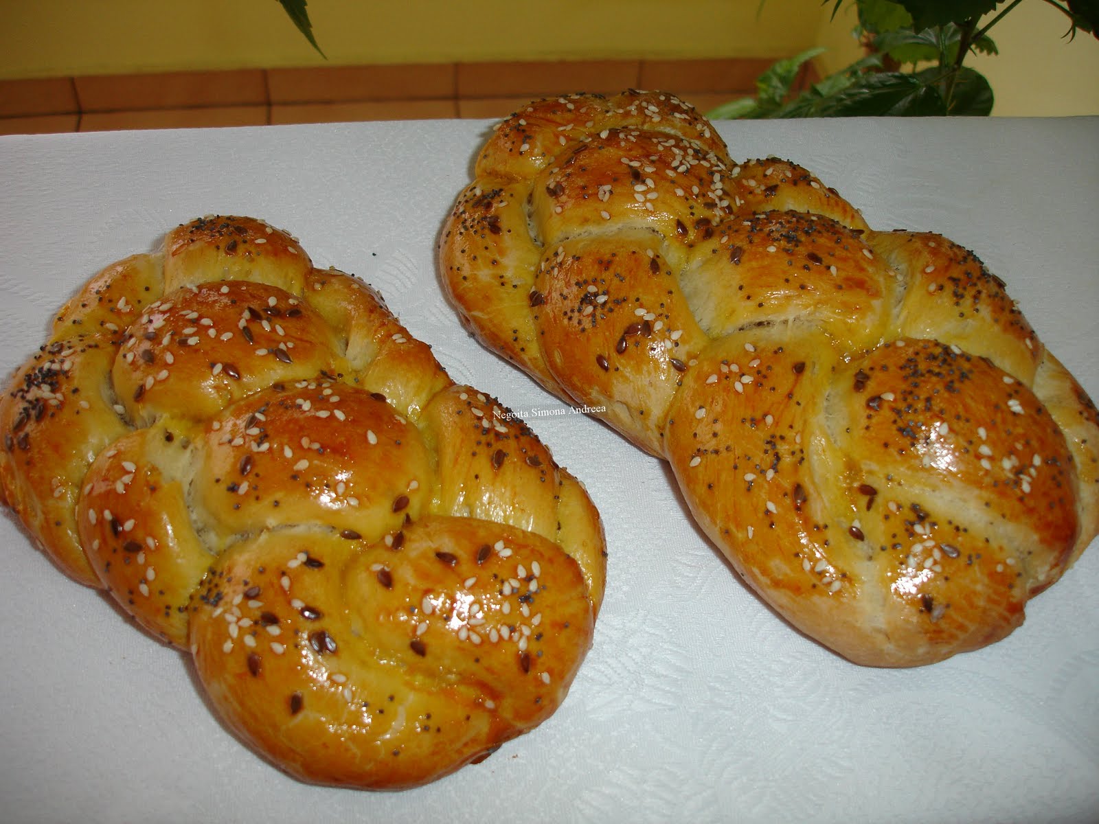 susu: Paine alba impletita