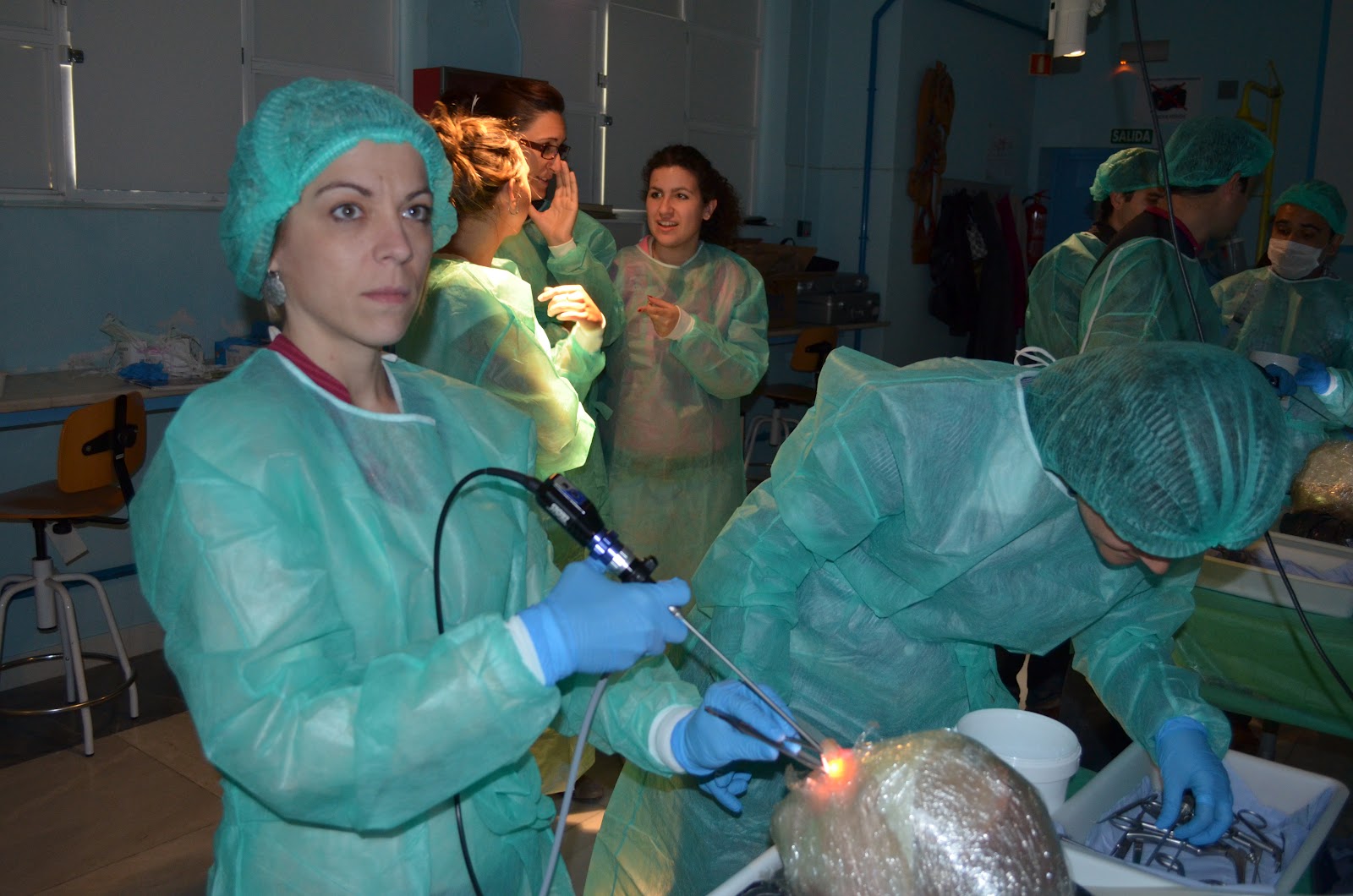 UGC-ORL HUVM: FOTOS III CURSO DE CIRUGÍA ENDOSCÓPICA NASOSINUSAL