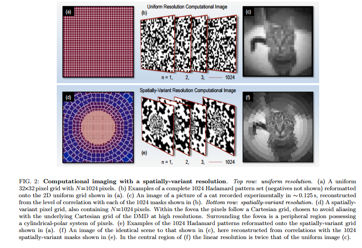 Nuit Blanche: Adaptive foveated single-pixel imaging with dynamic super ...