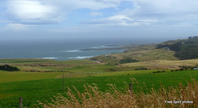 FreeSpirit : Niagara falls in New Zealand?