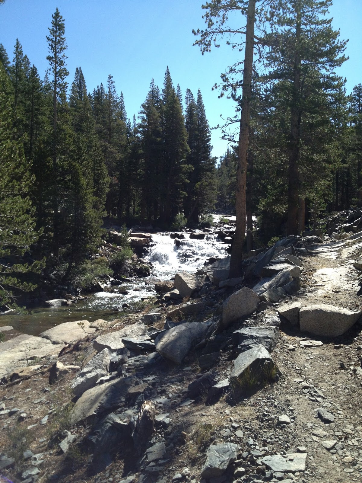 Hike4Ward: Day 11. Aug 9: Piute Canyon to Evolution Lake. 10 Miles