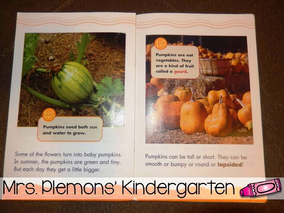 Book Talk Tuesday: Pumpkins - Mrs. Plemons' Kindergarten