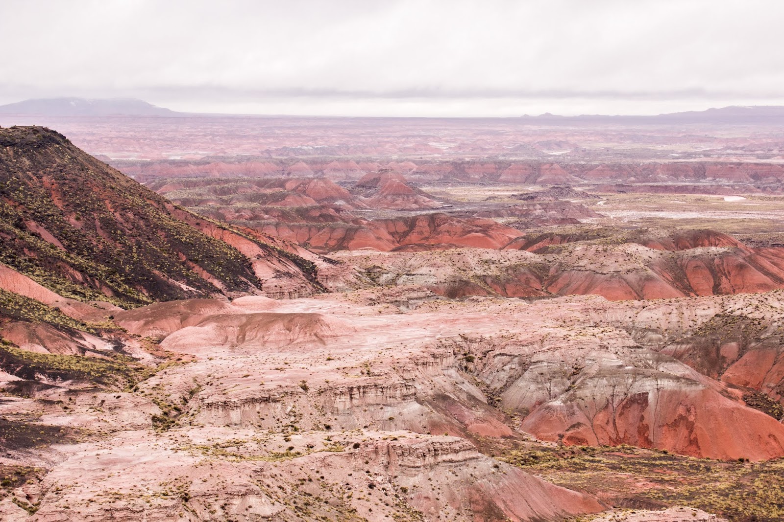 The Largest Concentration of Petrified Wood in the World - Explore the ...
